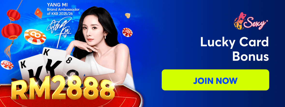 (ZH) 中文（中国）